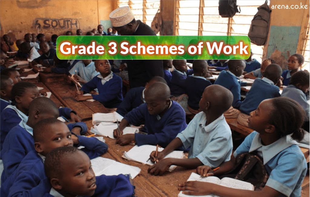 Grade Three - Teachers Arena