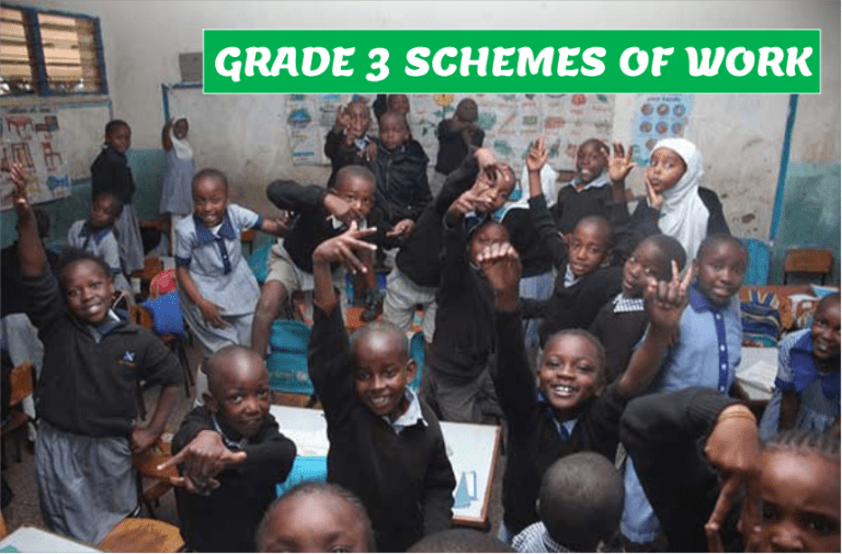 Free Grade 3 Schemes Of Work Term 1,2 And 3