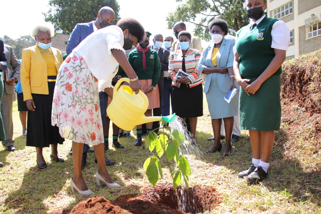 KCSE To Proceed On 13th Nov Gazetted Tree Planting Public Holiday