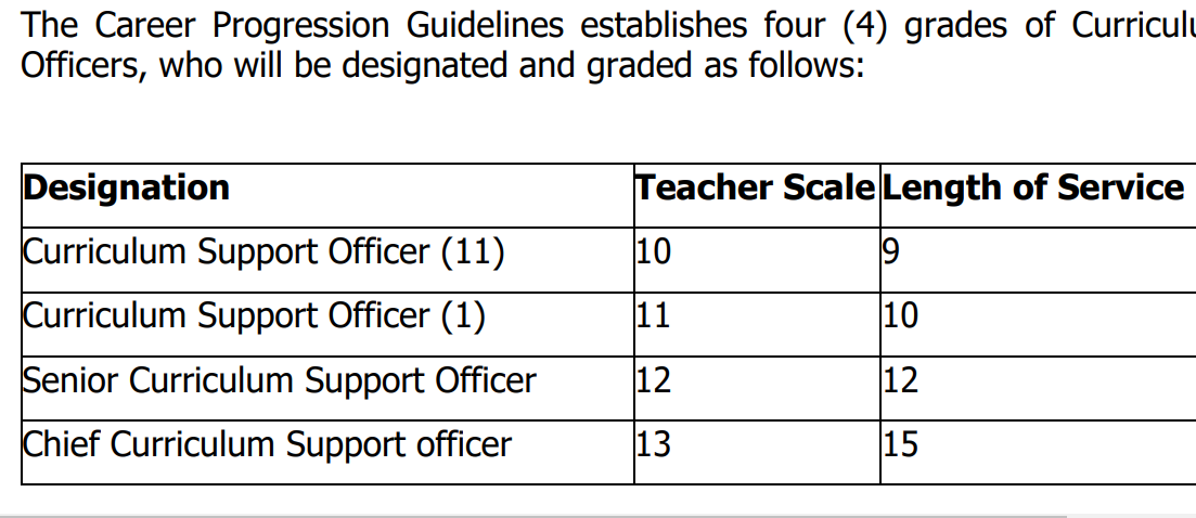 Duties And Responsibilities Of A Curriculum Support Officer (CSO)