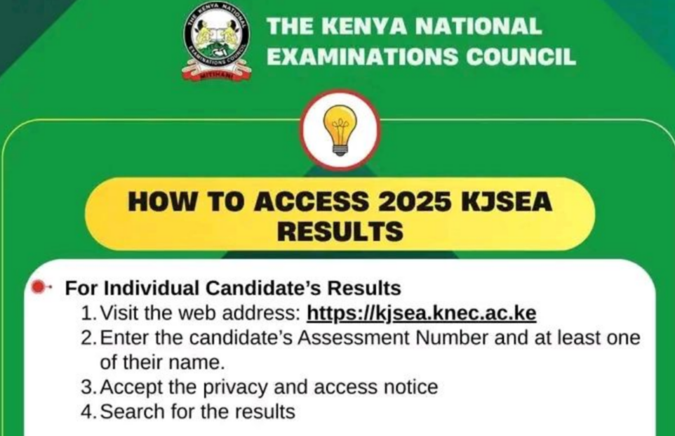 Easiest Way To Check & Download Knec Grade 9 KJSEA Results